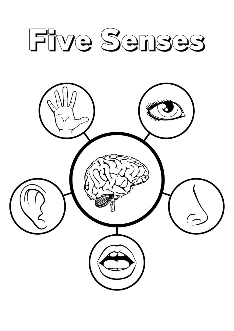 Five Senses Coloring Pages (Free + Printable) | Kokoprint.com