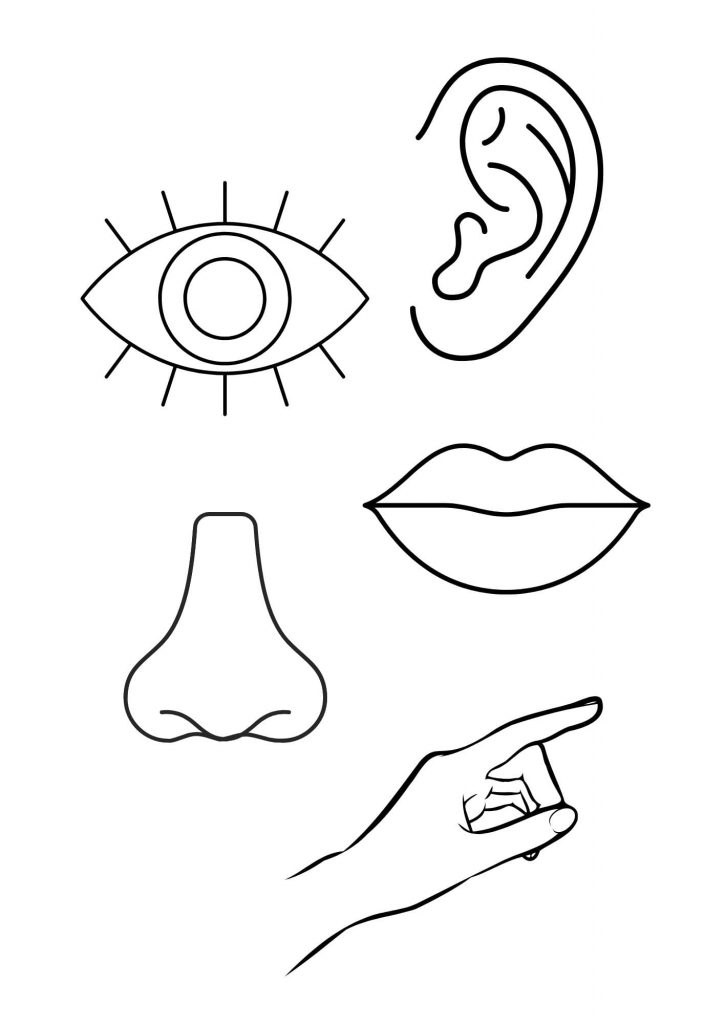 Five Senses Coloring Pages (Free + Printable) | Kokoprint.com