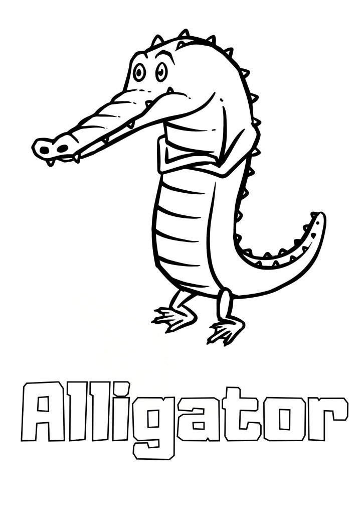 Alligator coloring sheets (free & printable)