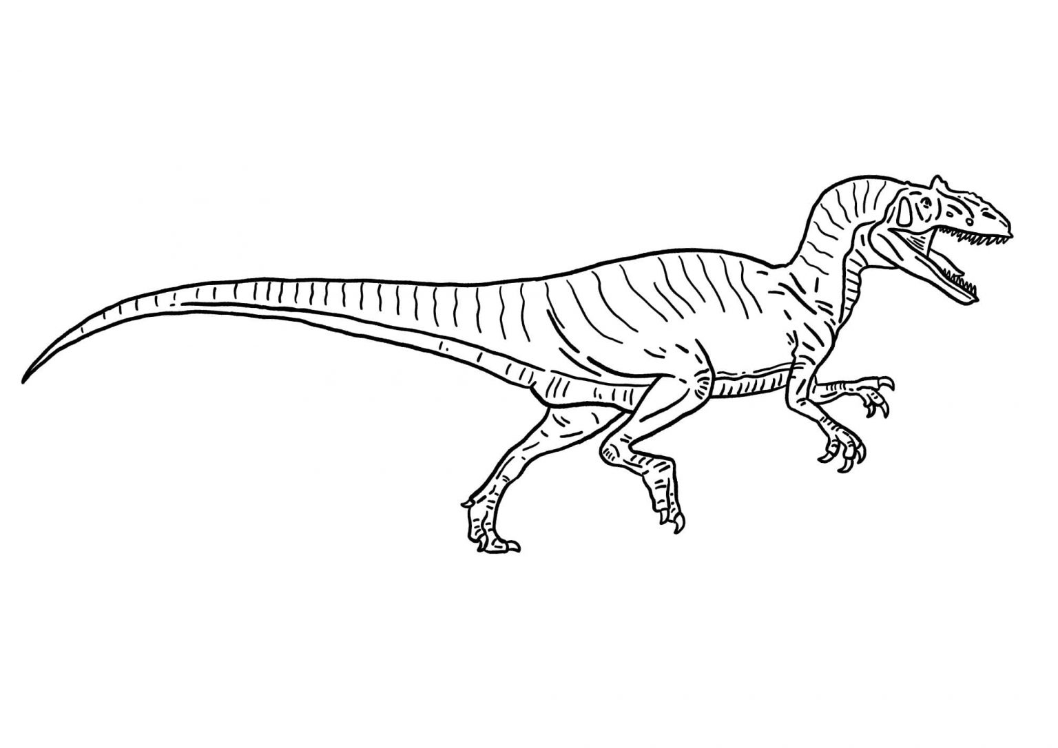 Allosaurus Colouring Sheet (Free + Printable)