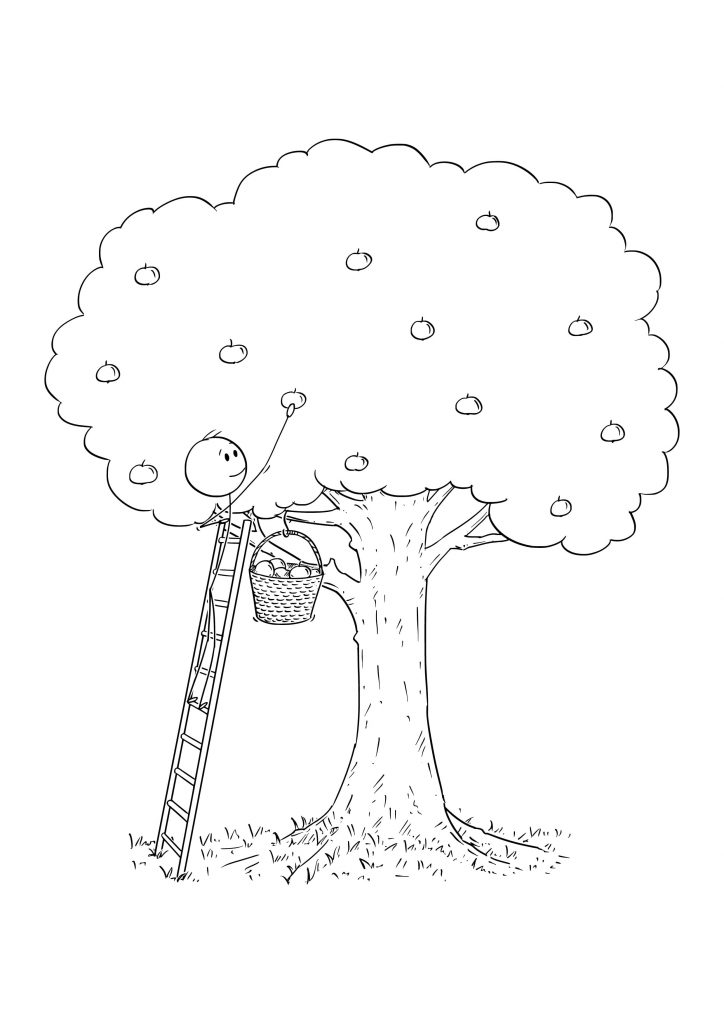 Apple Color Sheet (Free + Printable) | Kokoprint.com