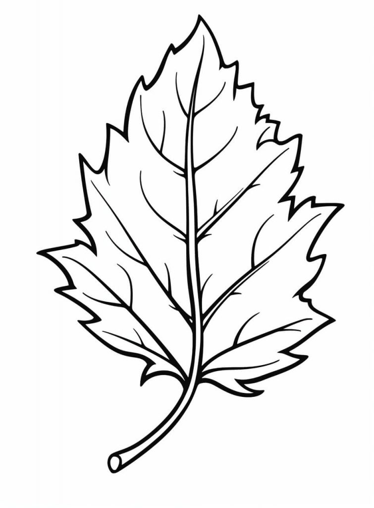 Autumn leaf colouring pages (printable & free) | Kokoprint.com