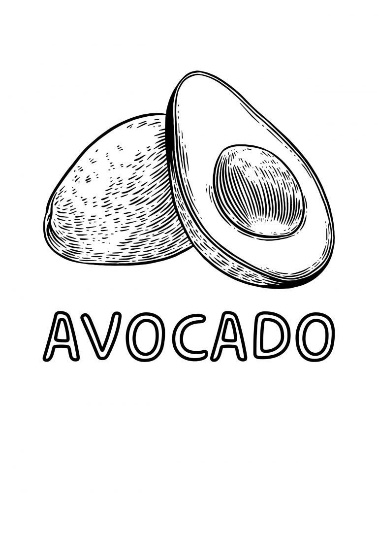 Avocado Color Sheet (Free + Printable) | Kokoprint.com