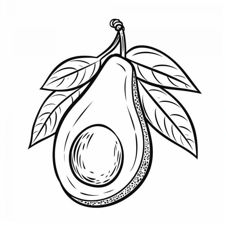 Avocado Color Sheet (Free + Printable) | Kokoprint.com