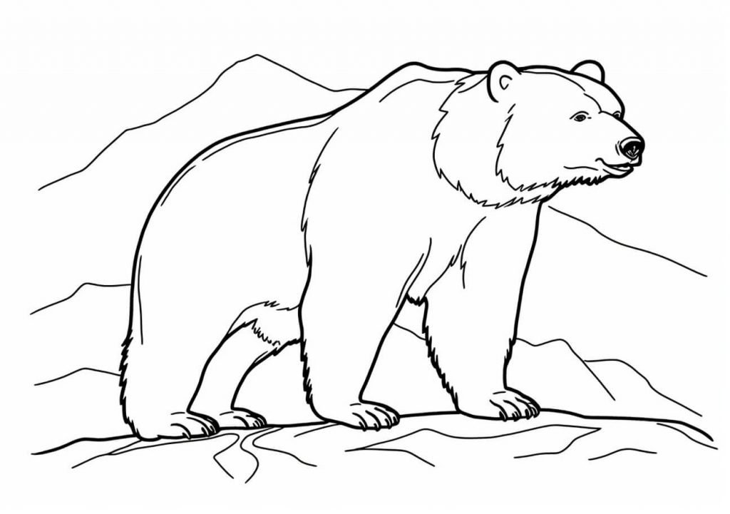 Bear Coloring Sheets (Free & Printable)