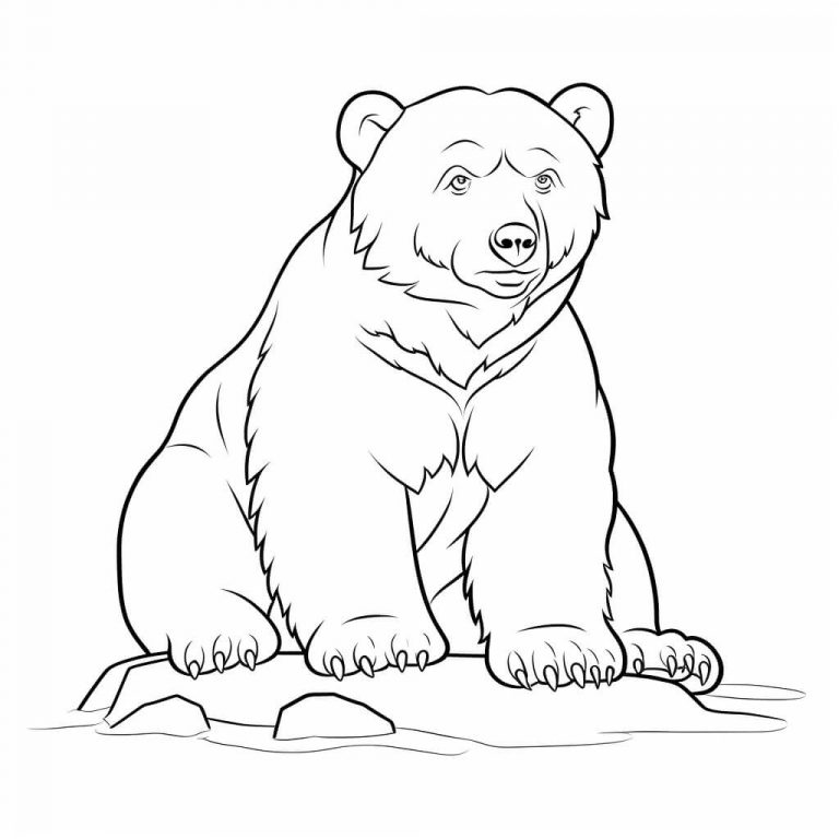 Bear Coloring Sheets (Free & Printable)