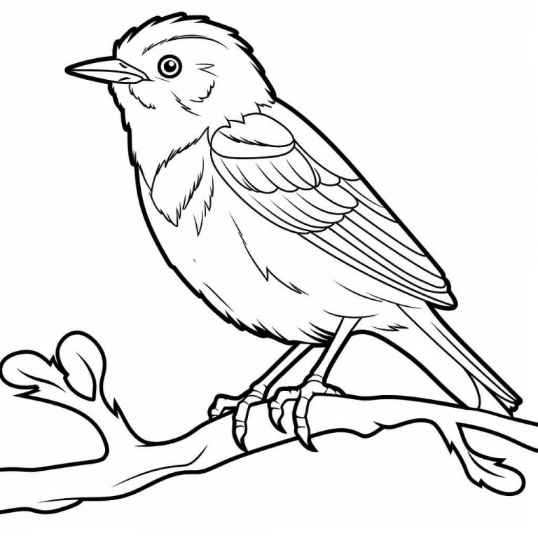 Bird Coloring Sheets (Free & Printable)