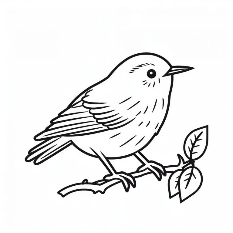 Bird Coloring Sheets (Free & Printable)