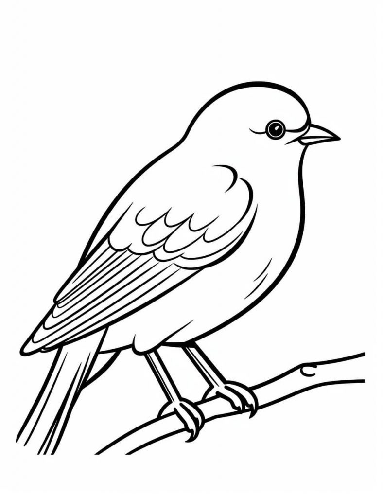 Bird Coloring Sheets (Free & Printable)