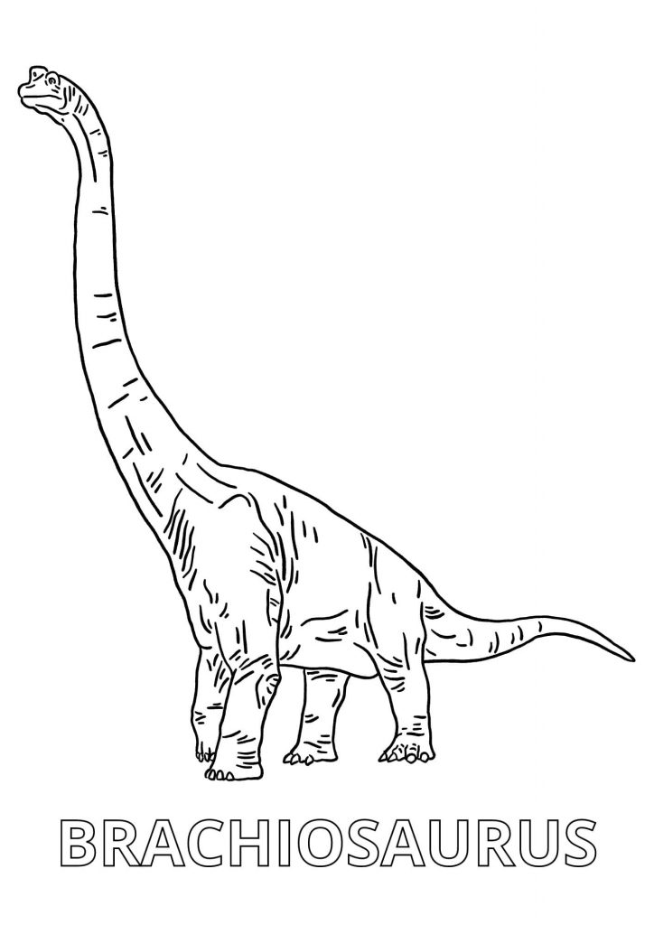 Brachiosaurus pictures to color (Free + Printable)