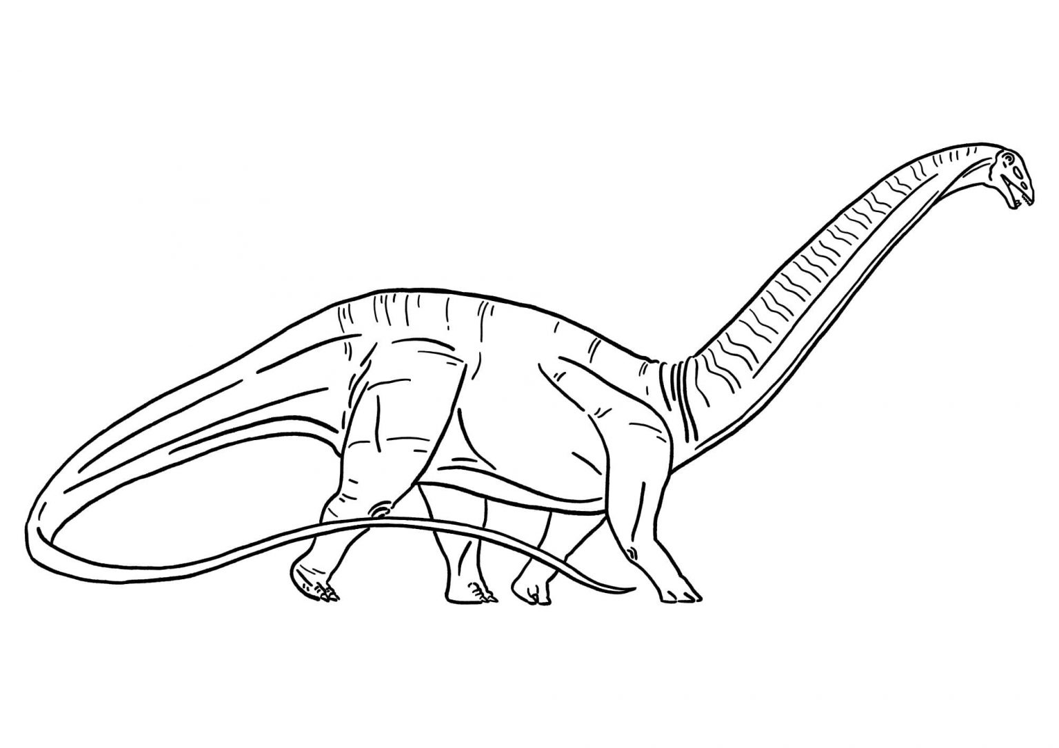Brontosaurus pictures to color (Free + Printable)