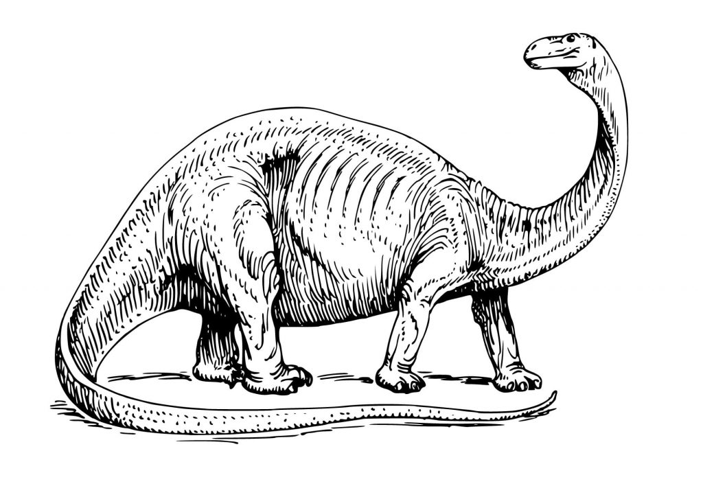 Brontosaurus pictures to color (Free + Printable)