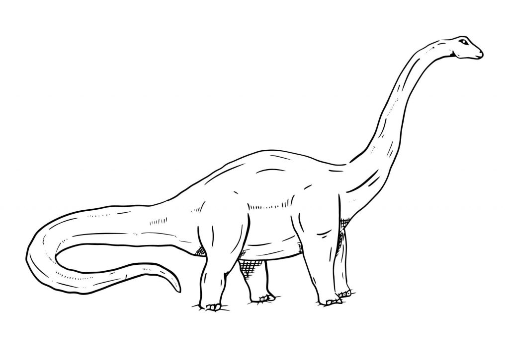 Brontosaurus pictures to color (Free + Printable)