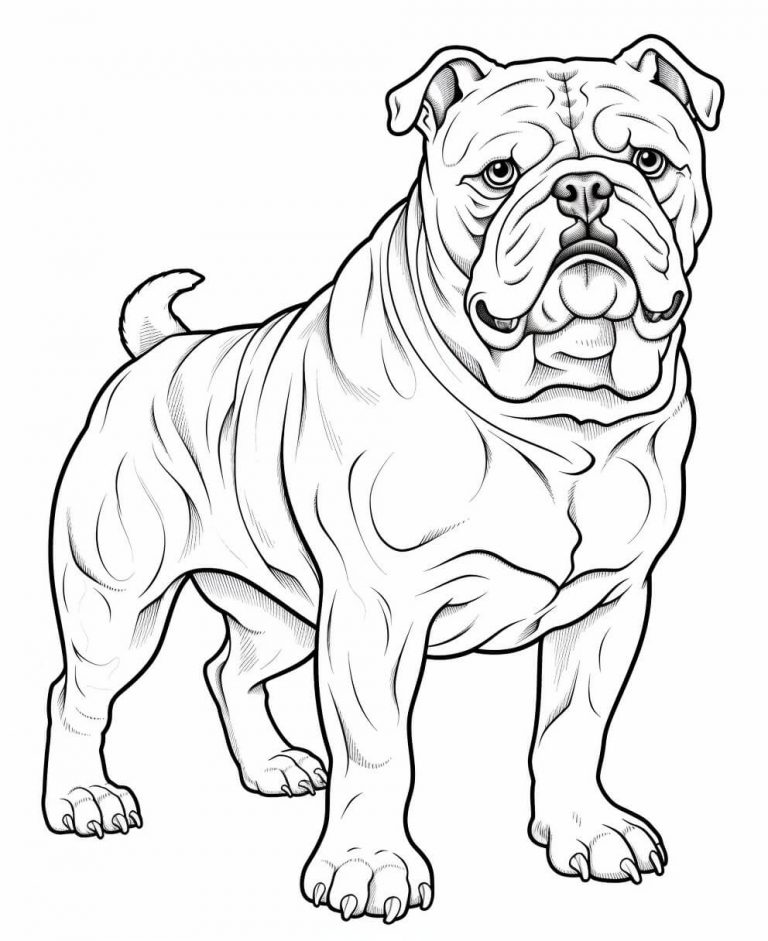 Bulldog Coloring Sheets (Free & Printable)