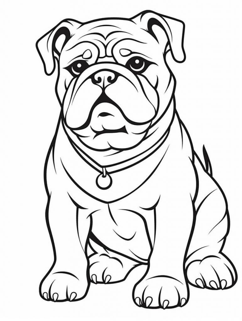 Bulldog Coloring Sheets (Free & Printable)