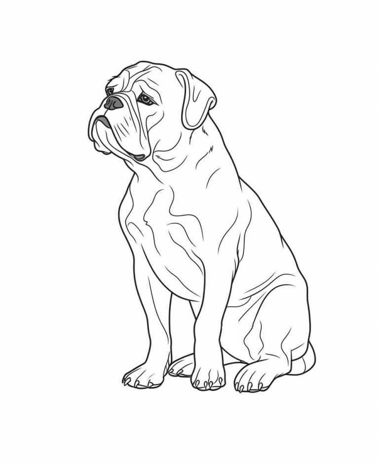 Bulldog Coloring Sheets (Free & Printable)