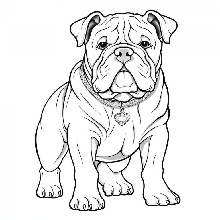 Bulldog Coloring Sheets (Free & Printable)