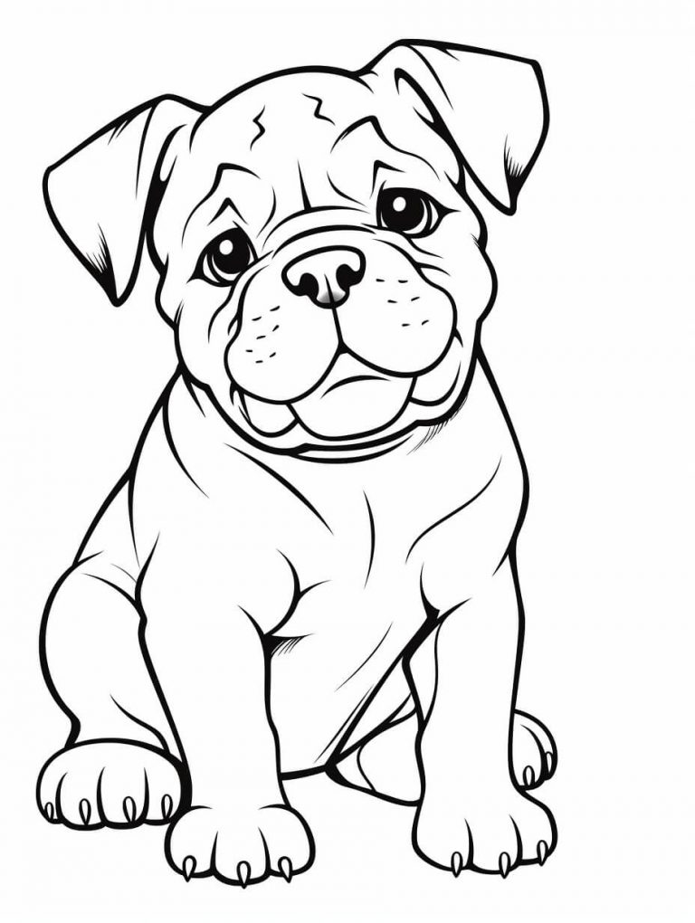 Bulldog Coloring Sheets (Free & Printable)