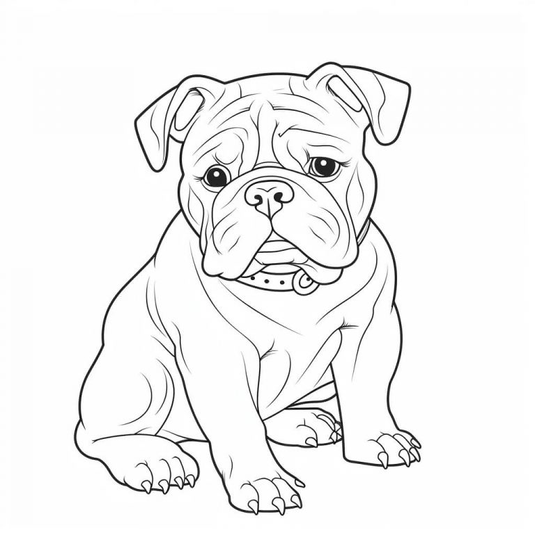 Bulldog Coloring Sheets (Free & Printable)