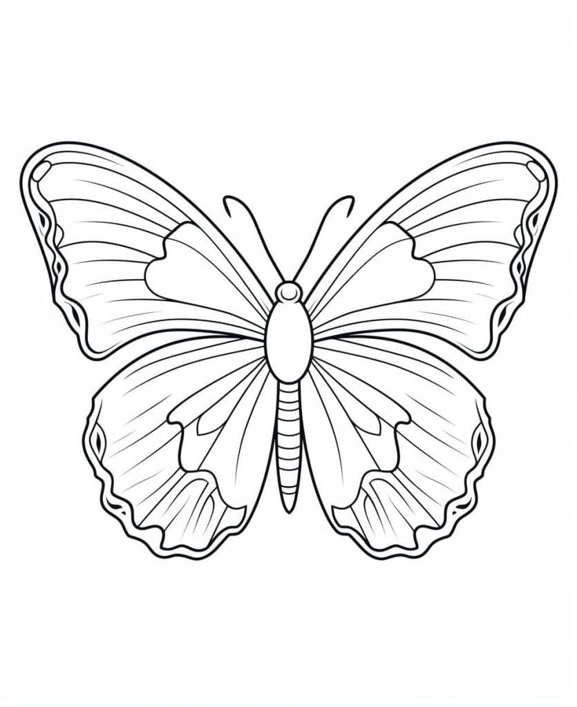 Butterflies Color Sheets (Free & Printable)