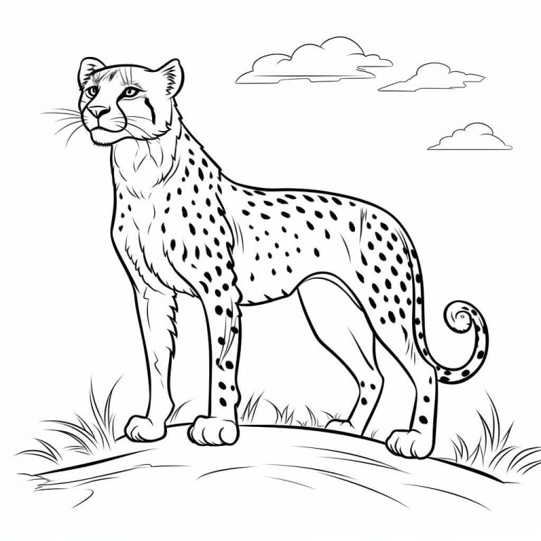 Cheetah Color Sheets (Free & Printable)