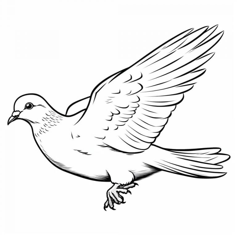 Dove Coloring Pictures (Free + Printable)