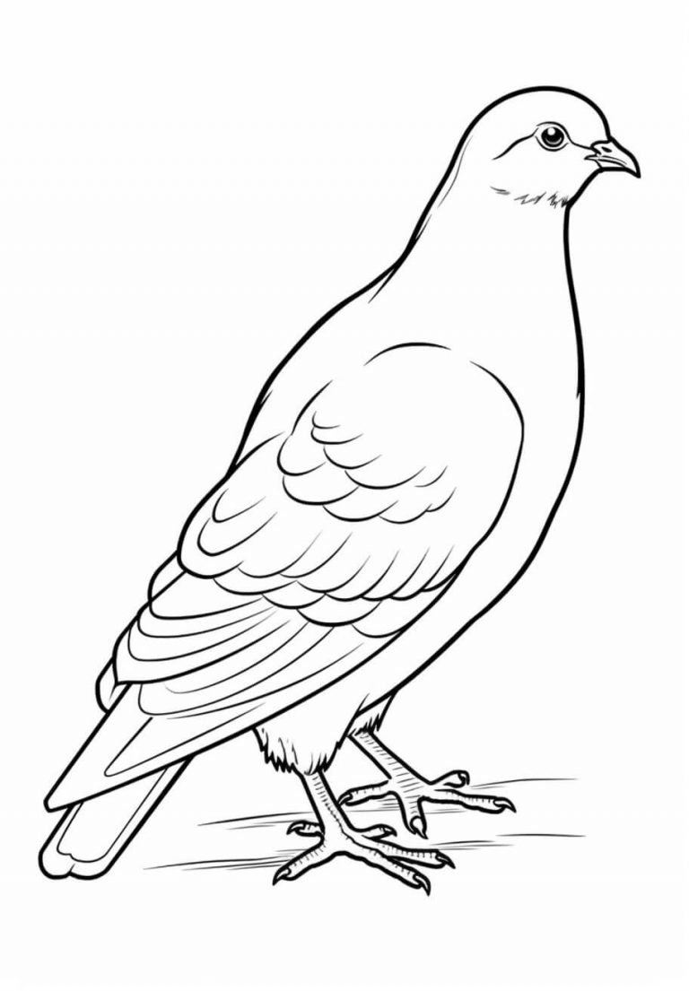 Dove Coloring Pictures (Free + Printable)
