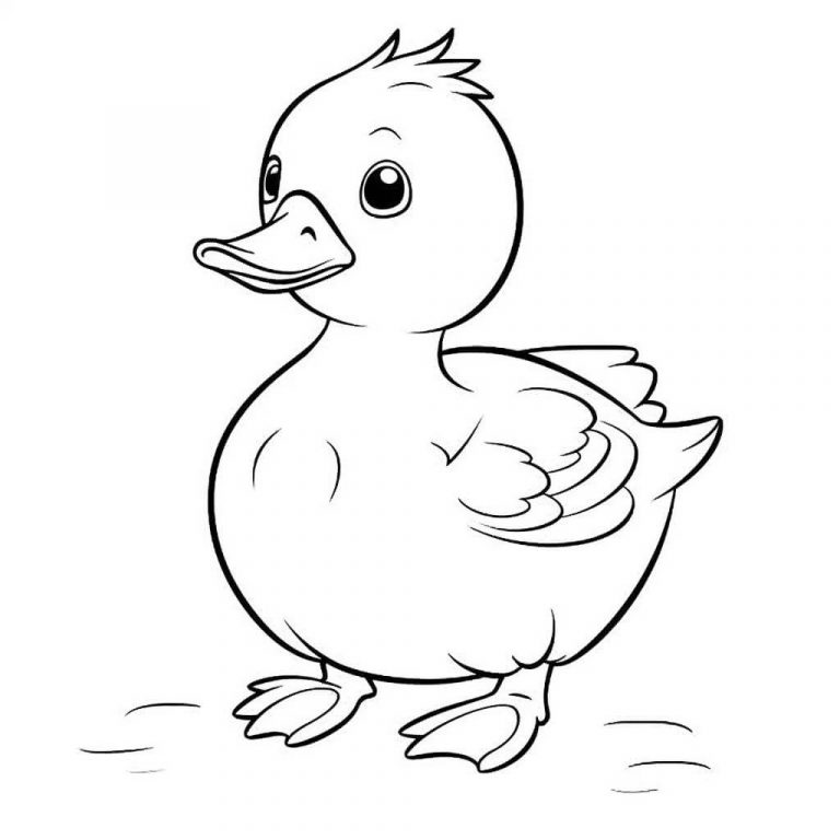 Pato | Dibujos para imprimir y colorear (gratis) - Kokoprint.com