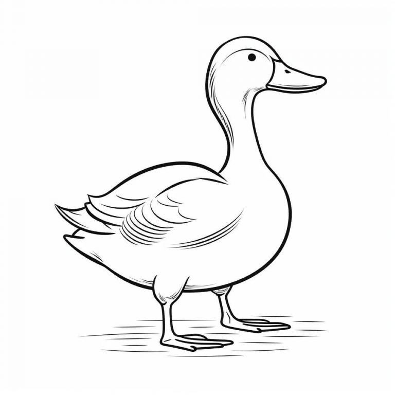 Duck Color Sheets (Free & Printable)