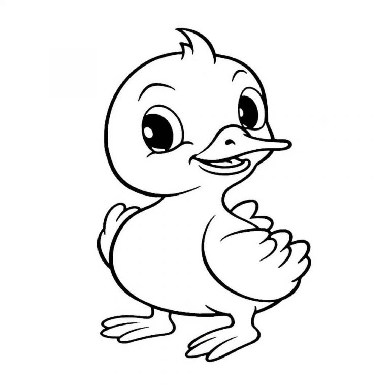 Pato | Dibujos para imprimir y colorear (gratis) - Kokoprint.com