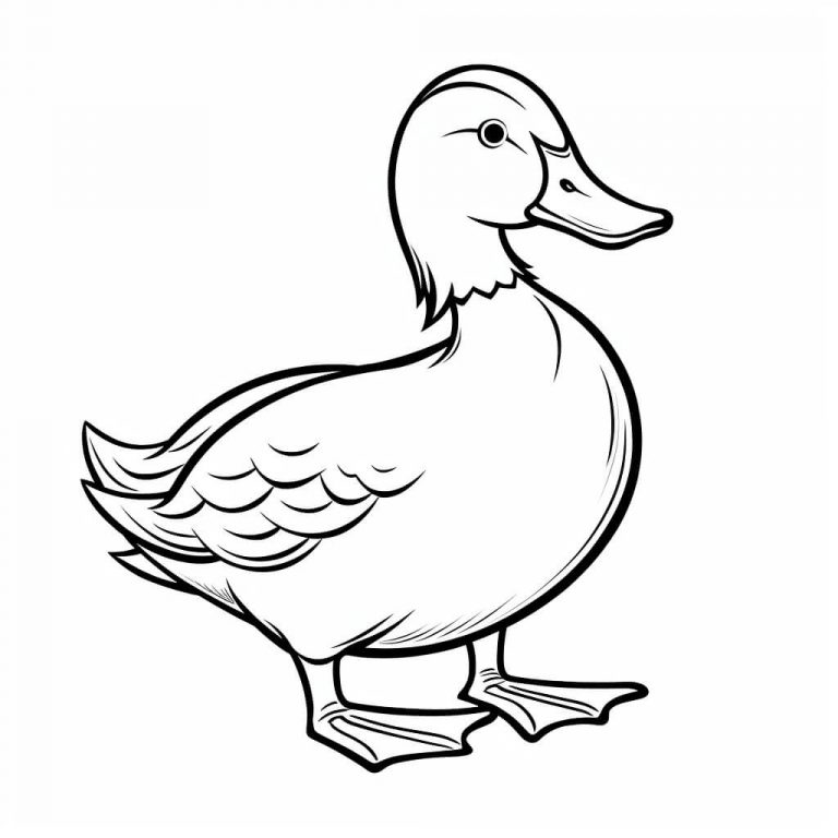 Pato | Dibujos para imprimir y colorear (gratis) - Kokoprint.com