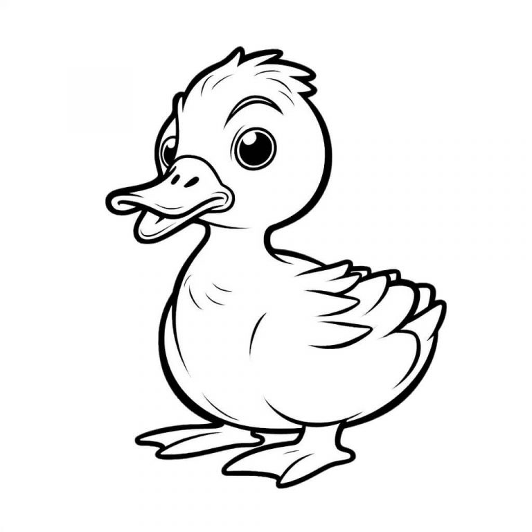 Pato | Dibujos para imprimir y colorear (gratis) - Kokoprint.com