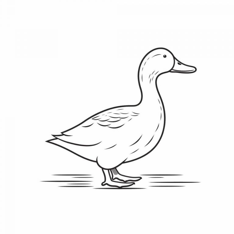 Pato | Dibujos para imprimir y colorear (gratis) - Kokoprint.com