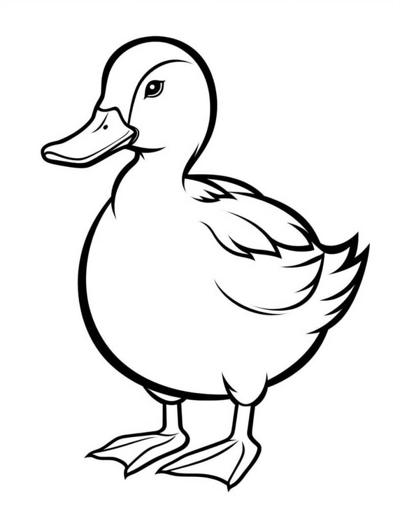 Duck Color Sheets (Free & Printable)