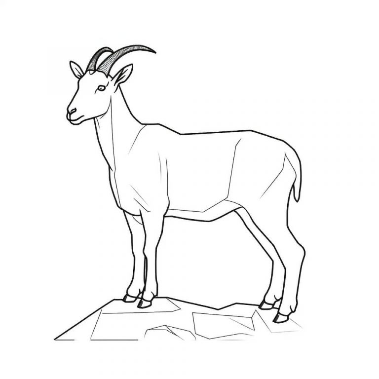 Goat Coloring Sheets (Free & Printable)