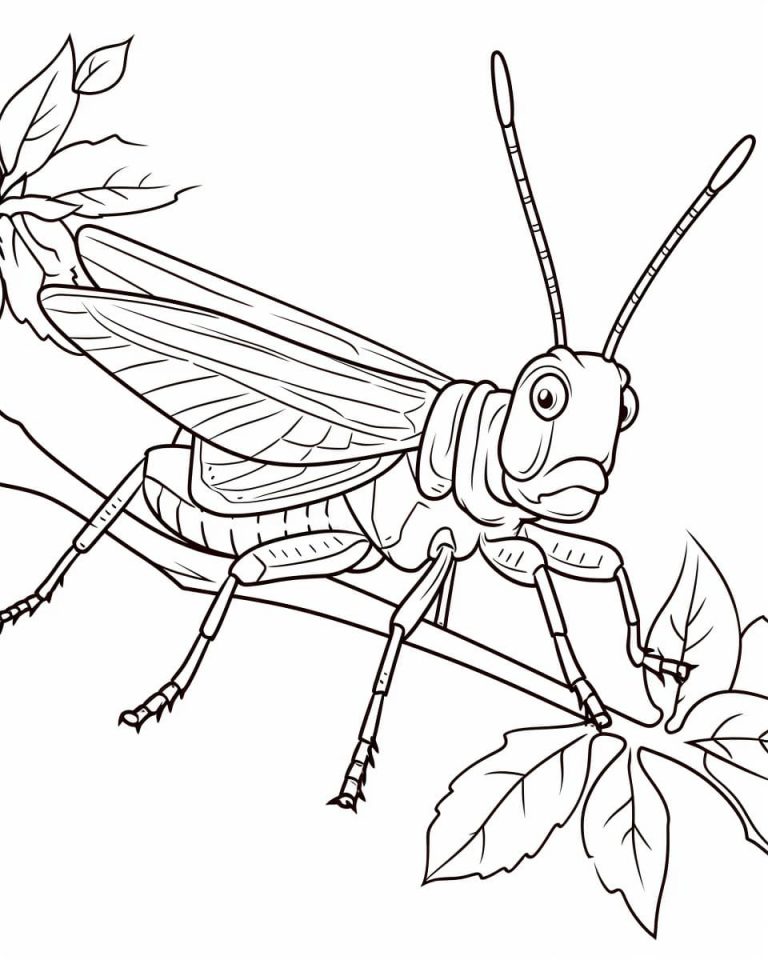 Grasshopper Coloring Sheets (Free + Printable)