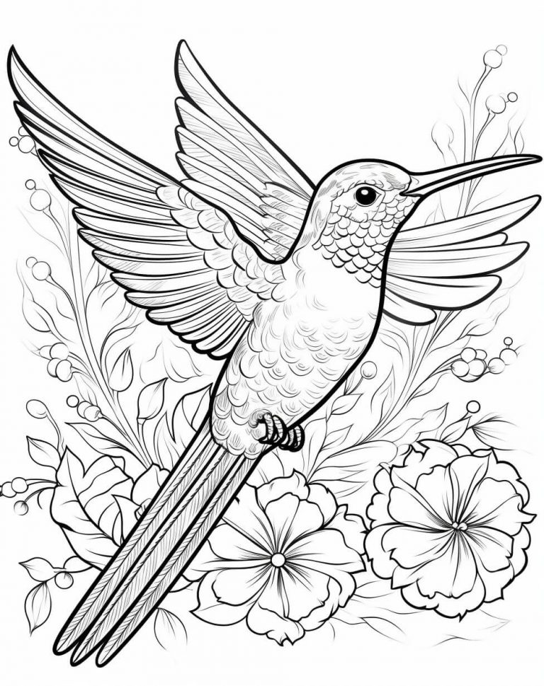 Hummingbird Color Sheets (Free and Printable)