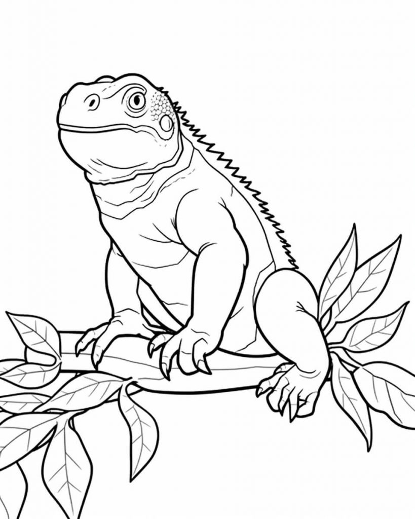 Iguana Color Sheets (Free & Printable)