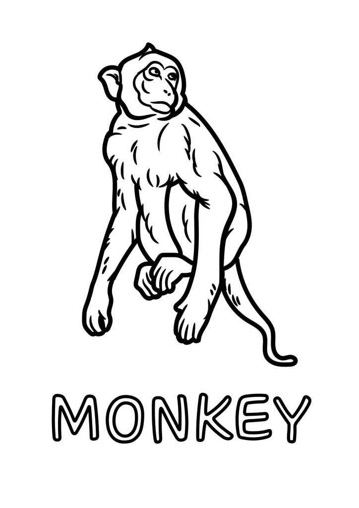 Monkey Color Sheets (Free & Printable)
