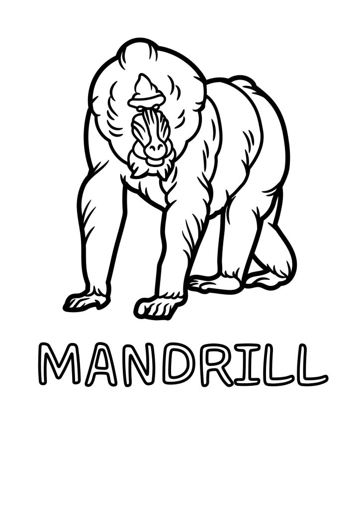Monkey Color Sheets (Free & Printable)