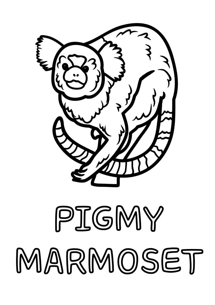 Monkey Color Sheets (Free & Printable)