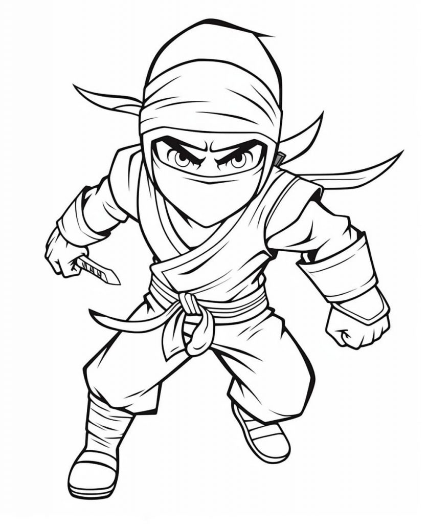 Ninja Color Sheet (Free + Printable)