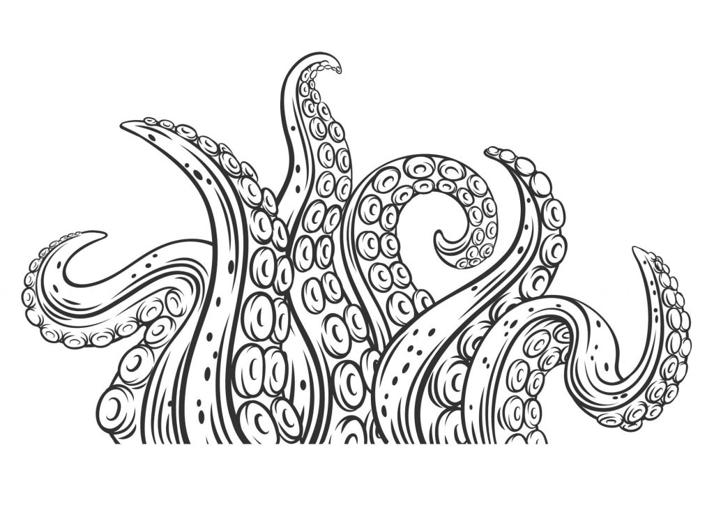 Octopus Color Sheets (Free & Printable)