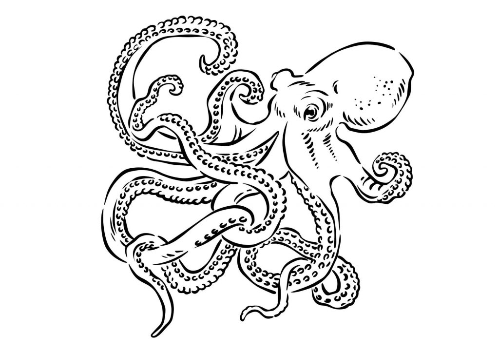 Octopus Color Sheets (Free & Printable)