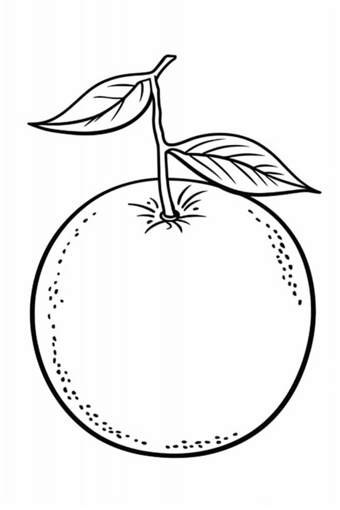 Oranges Coloring Sheet (Free + printable) | Kokoprint.com