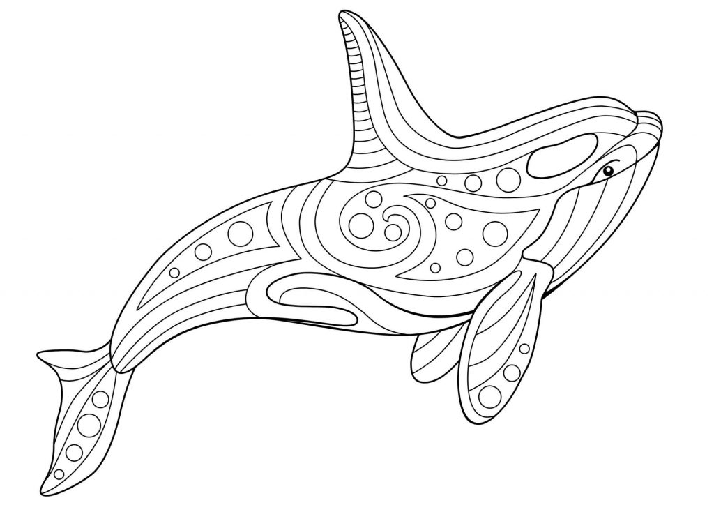 Orca Color Sheets (Free & Printable) | Kokoprint.com