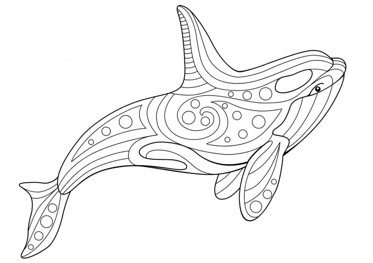 Orca Color Sheets (Free & Printable) | Kokoprint.com