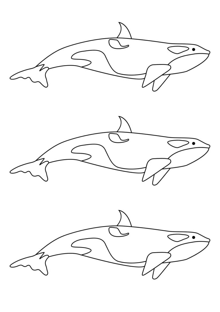 Orca Color Sheets (Free & Printable) | Kokoprint.com
