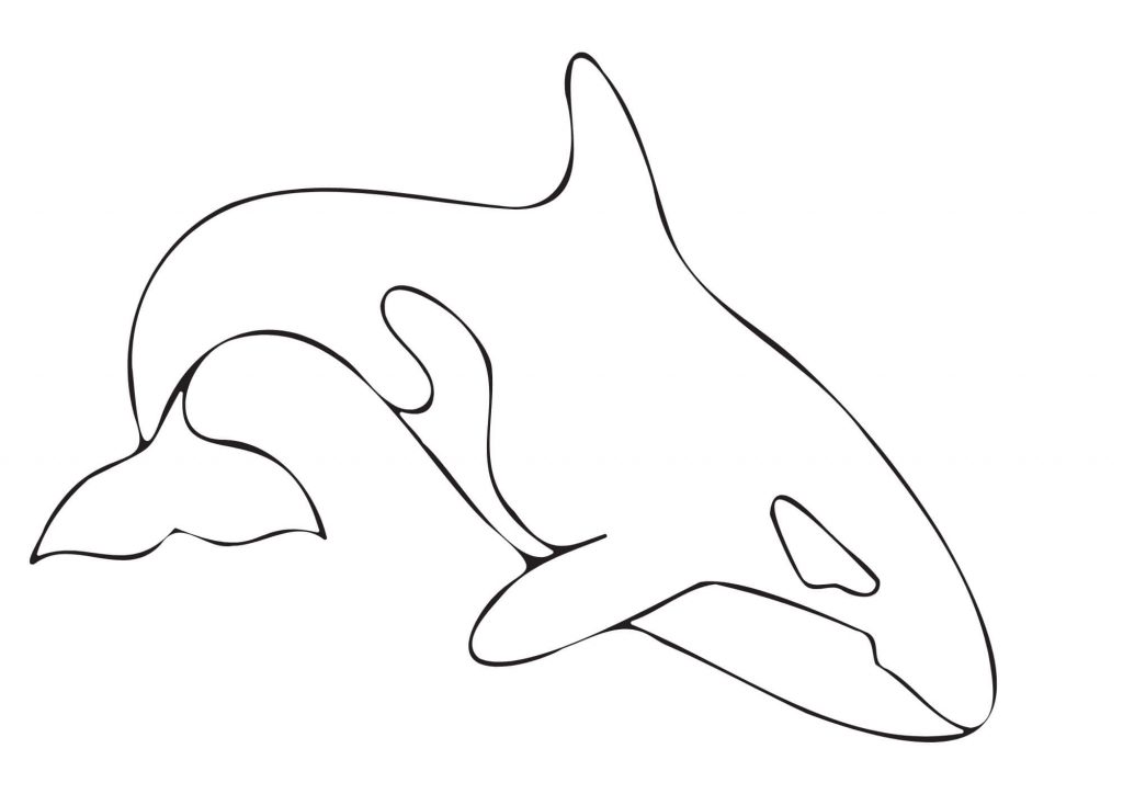 Orca Color Sheets (Free & Printable) | Kokoprint.com