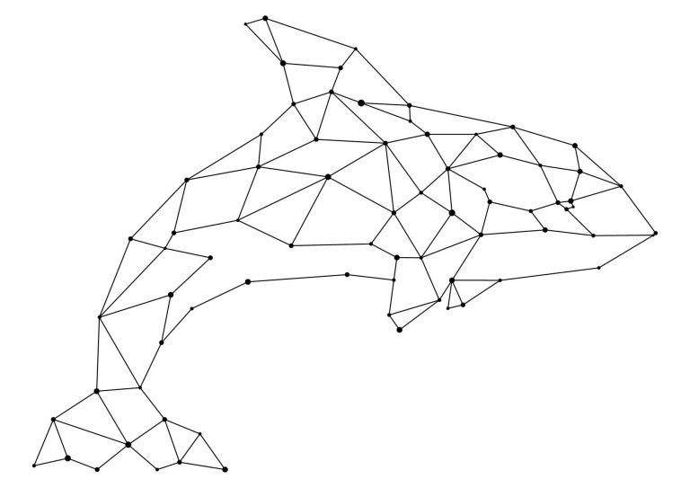 Orca Color Sheets (Free & Printable) | Kokoprint.com